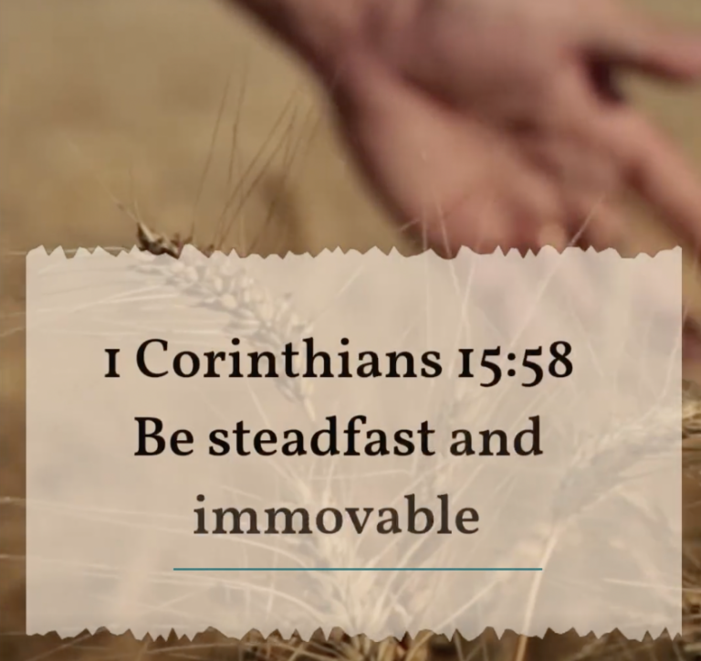 Be steadfast, Immovable, Always abounding in the work of the Lord 1 ...